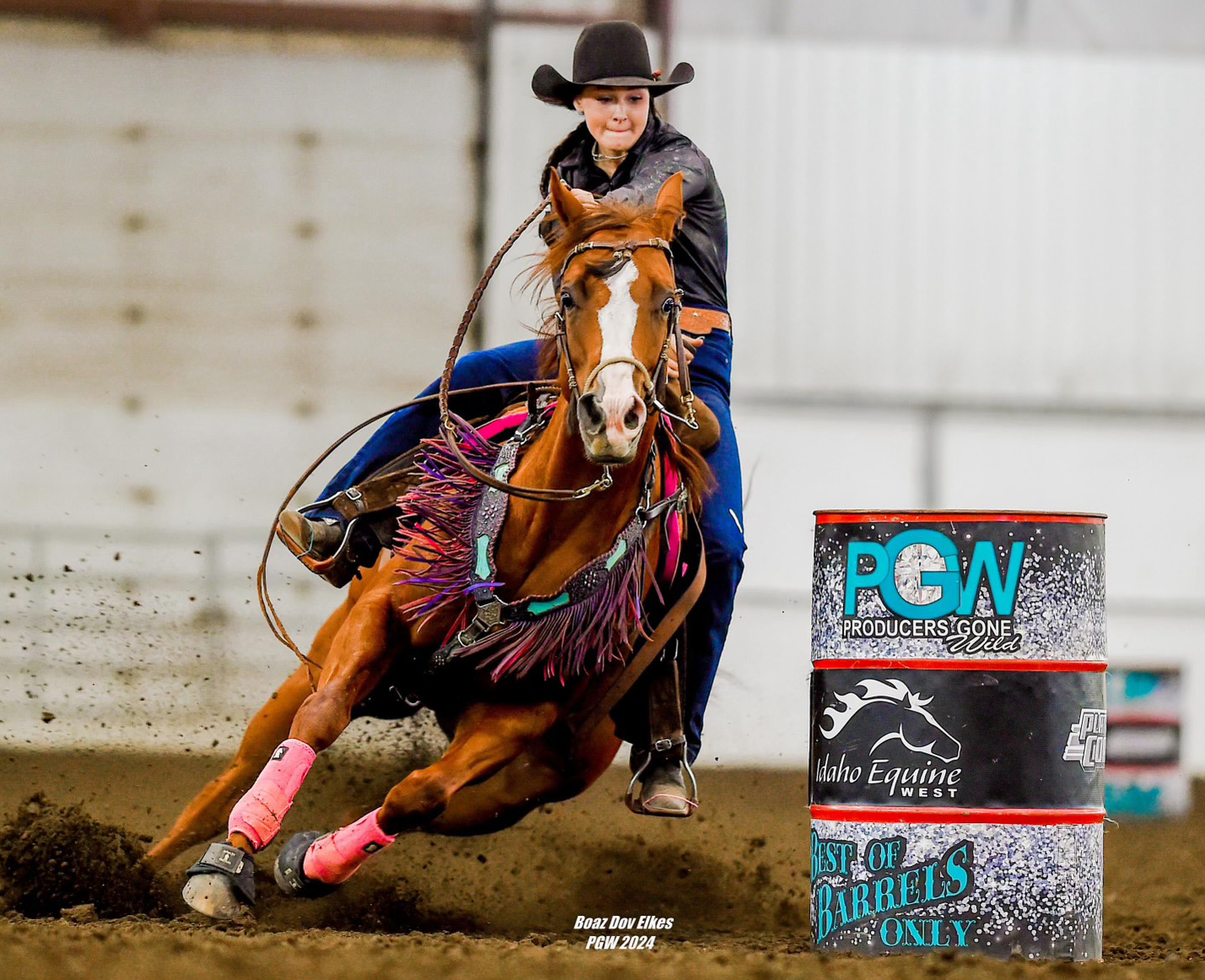 KG JusticeWeExpected $461K LTE, Progeny $730K
